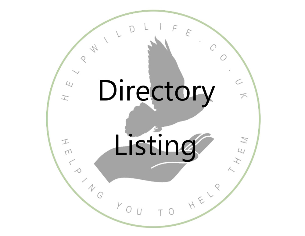 National Fox Welfare Society - HelpWildlife.co.uk